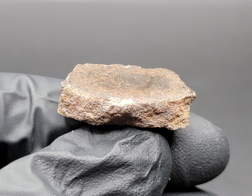 NWA 4874 (7.691g) Brachinite Meteorite, Thick Polished Slice, IMCA ...