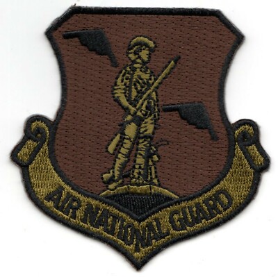 USAF AIR FORCE 110BS BOMB SQUADRON ANG CREST OCP EMBROIDERED JACKET ...