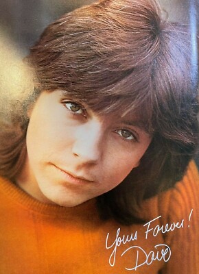 1971 Vintage Magazine Illustration David Cassidy Keith Partridge | eBay