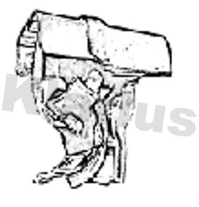 Exhaust Mounting 420538 Klarius Rubber 206515699r 8200114739 Quality ...