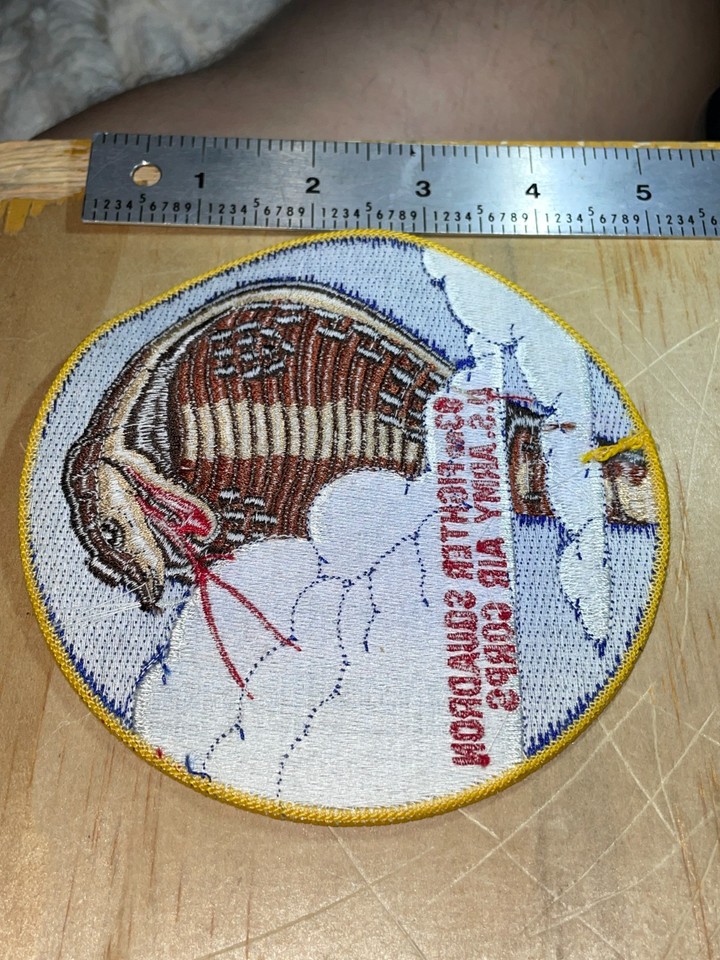 1970s/1980s? US ARMY AIR CORPS PATCH-93rd FIGHTER SQUADRON-ORIGINAL ...