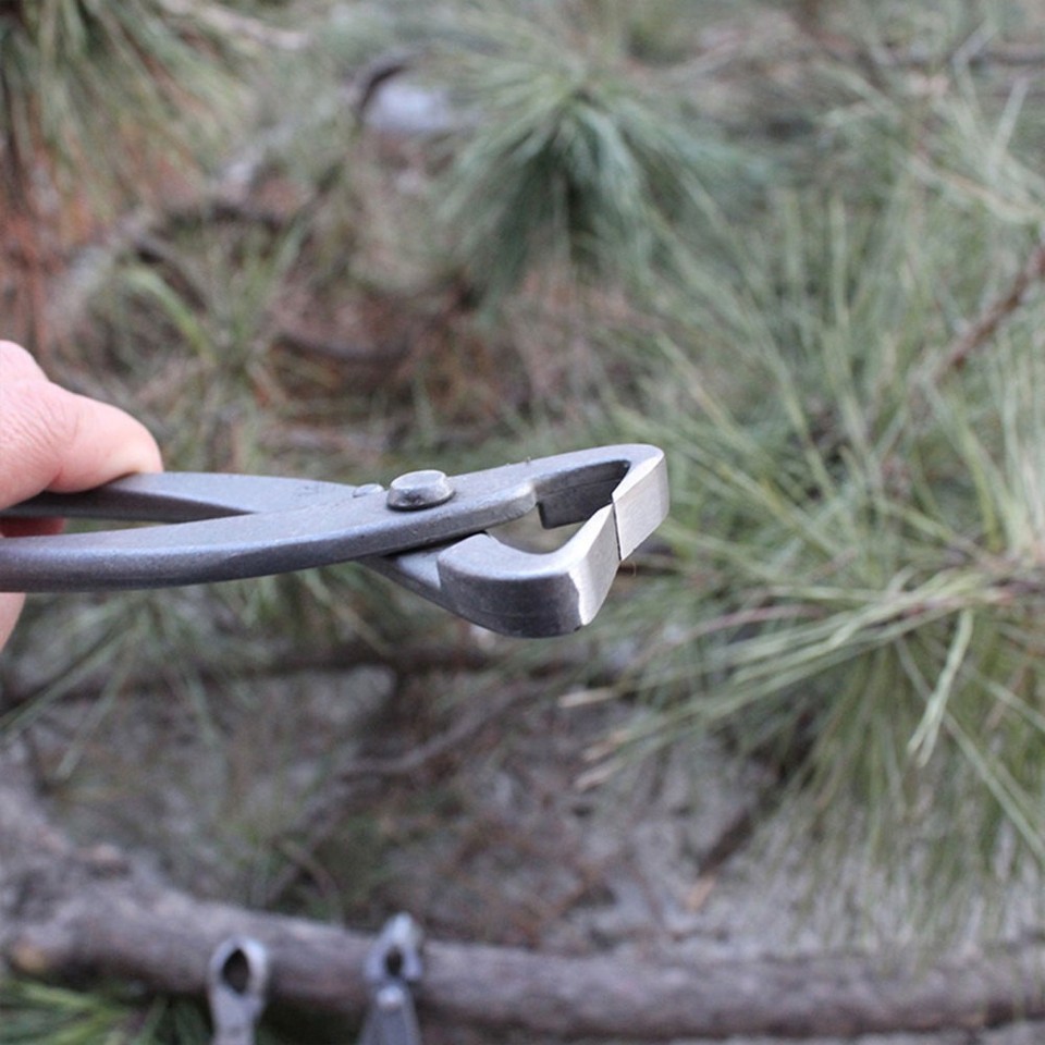 Concave Cutter Knob Cutter Trunk Splitter Bonsai Clipper Sharp Wear ...