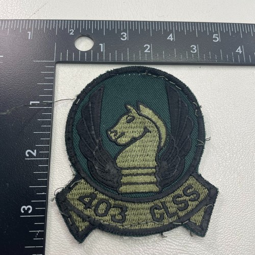 United States Air Force COMBAT LOGISTICS SUPPORT SQUADRON 403 CLSS ...