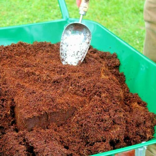 FULL 60L BLOCK BRICK Coco Coir Compost Peat Free Garden Reptile Bedding ...