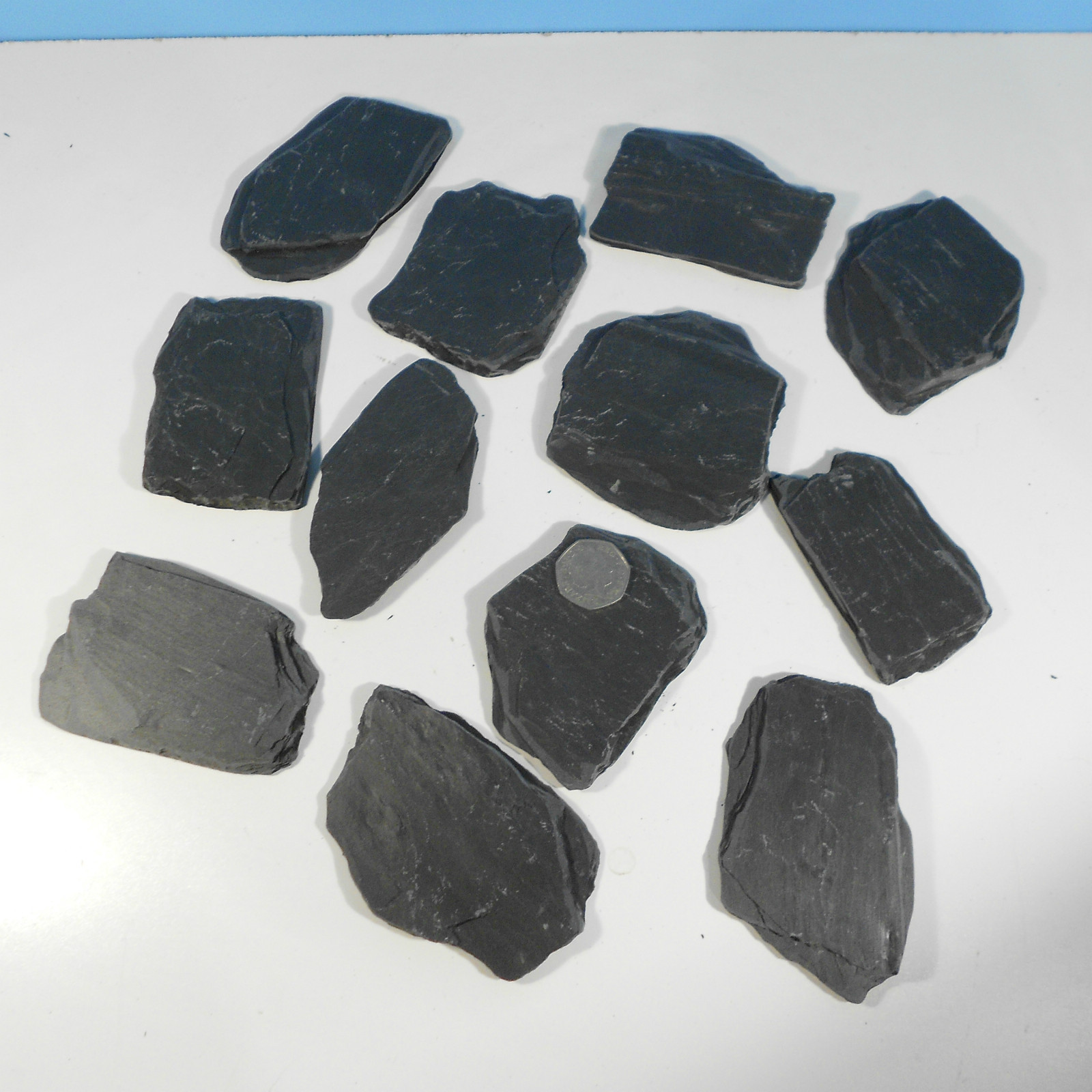 12x New NATURAL Flat SLATE Rock Gravel Pieces AQUARIUM or VIVARIUM ...