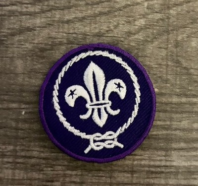Boy Scout BSA Cub Venture Exploring International Uniform World Crest ...