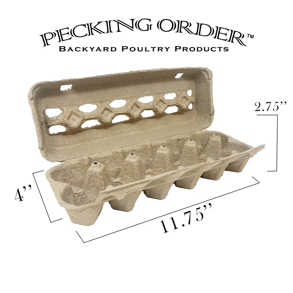 Paper Pulp Egg Cartons - 50 Pack Eco-Friendly Storage for Eggs and ...