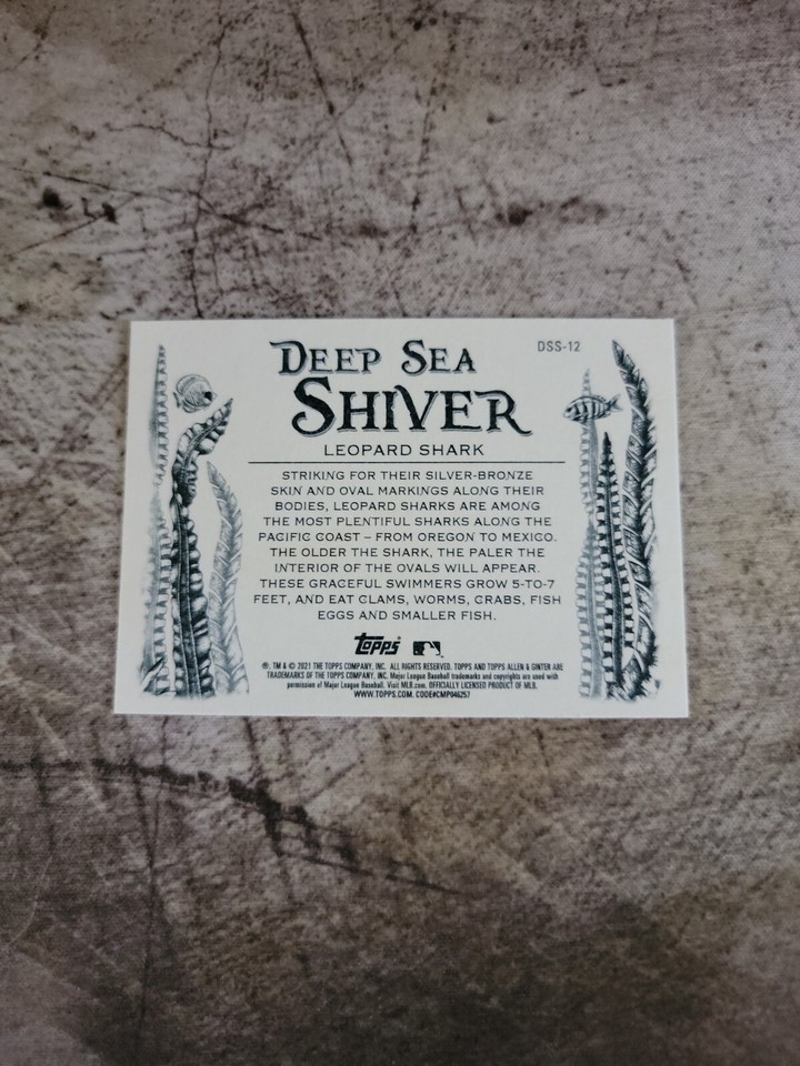 2021 Topps Allen & Ginter | Leopard Shark | Deep Sea Shiver | # DSS-12 ...