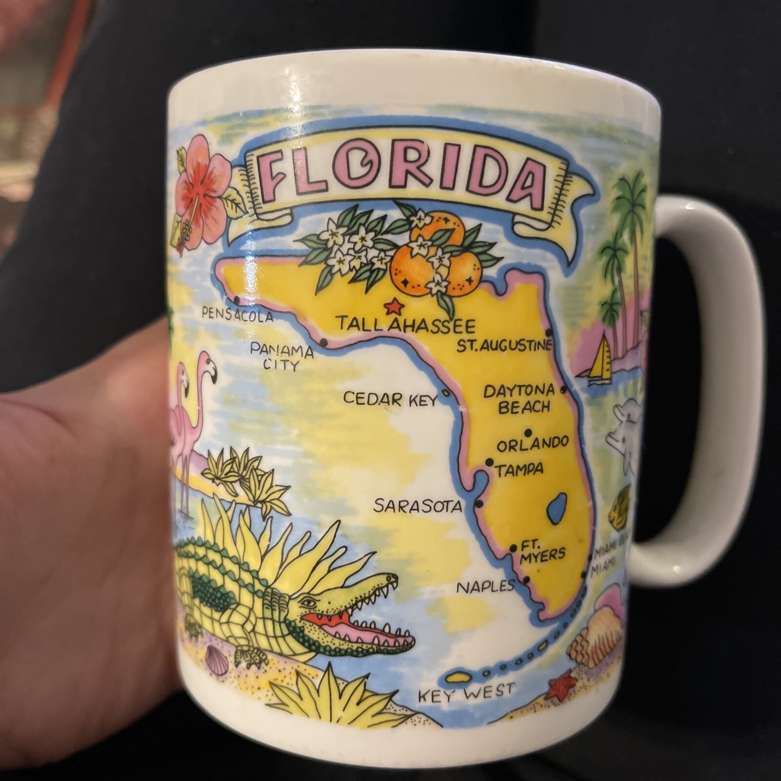 Florida Mug Dolphins Flamingos Gator Map American Gift Collector Series ...