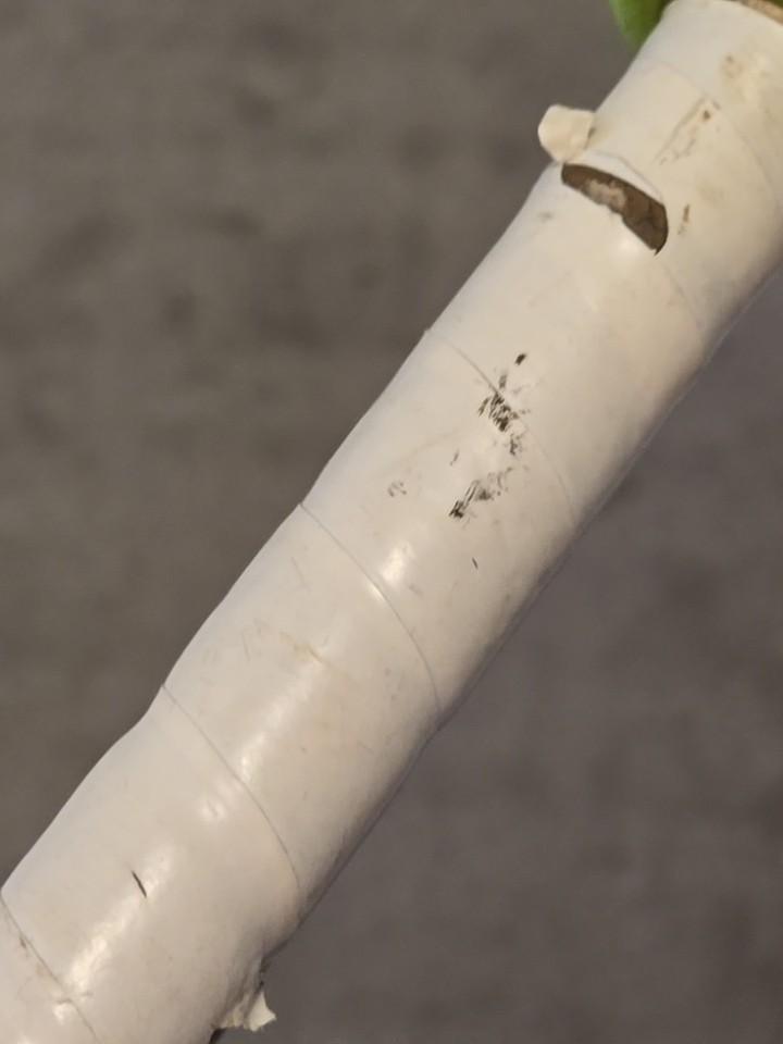 Miken Freak NXT SNXTMA Slowpitch Softball Bat NSA/ASA/USSSA 33.75/28oz ...
