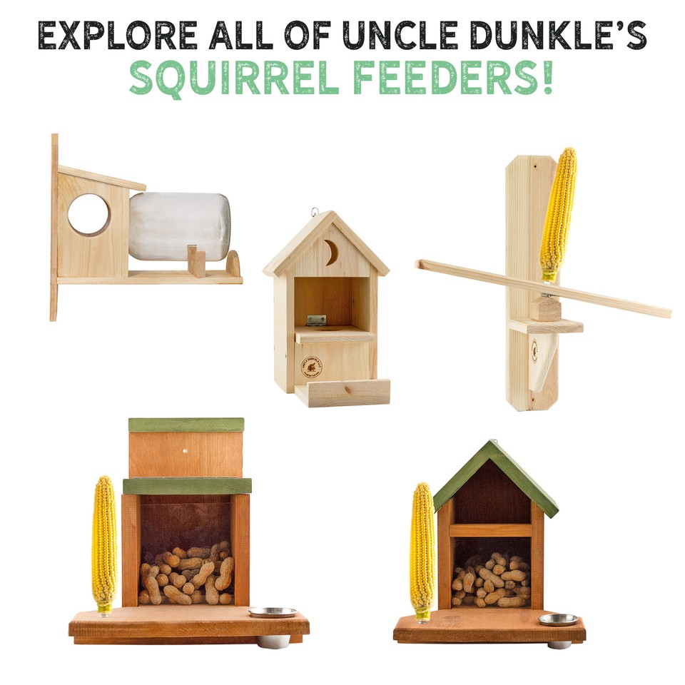 Outhouse Squirrel Feeder; Rustic Handmade Wooden Squirrel Food ...