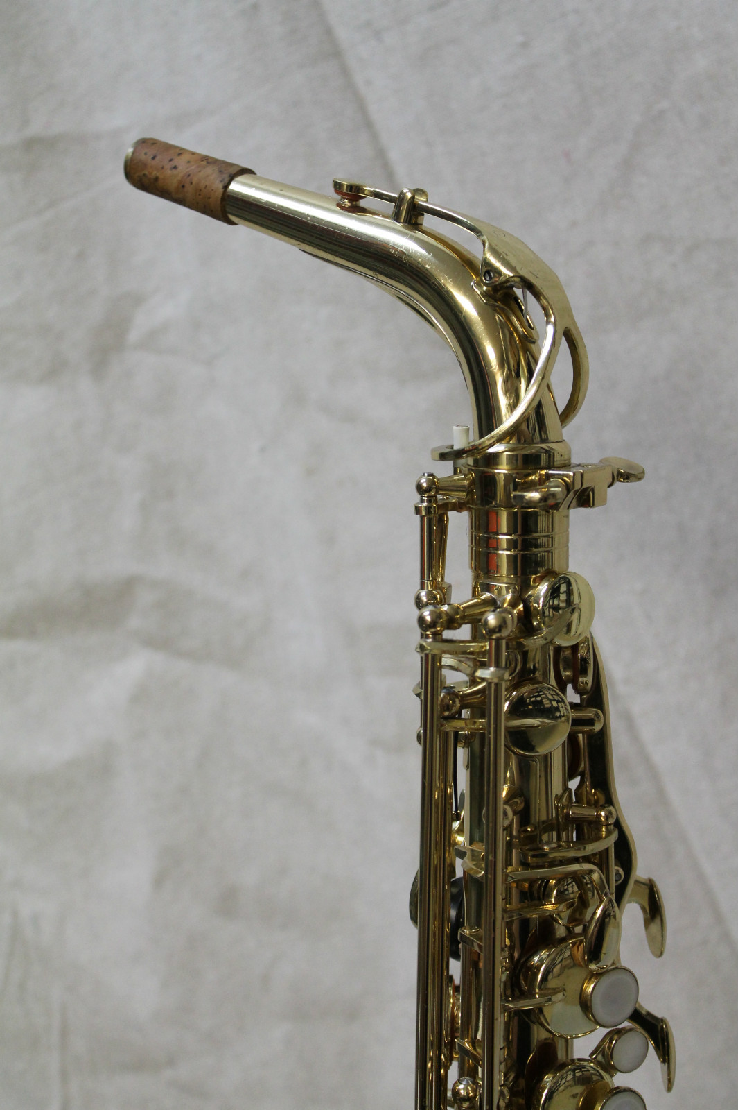 MS-6 Student Eb Alto Saxophone | eBay