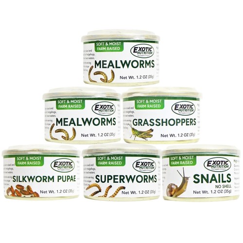 High Protein Canned Insect Assortment - Healthy Treat for Reptiles ...