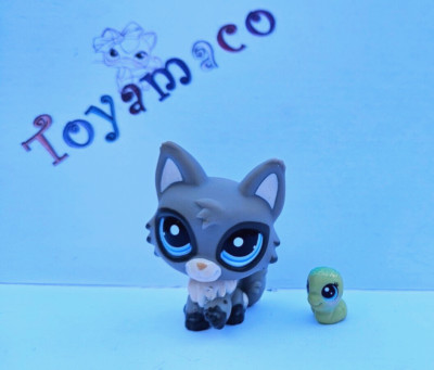 Original LPS Petshop : Wolf cat #1953 / free shipping | eBay