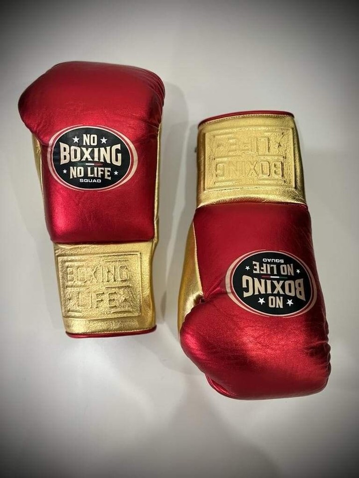 Customized Handmade Canelo No Boxing No Life Boxing Gloves MMA Kick ...