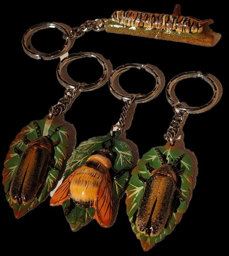 Set Of 4 Insect Inspired Key Chains | eBay