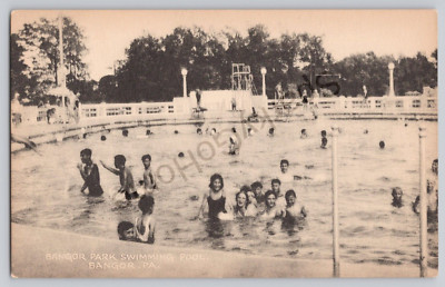 Bangor PA Bangor Park Swimming Pool, Swimmers, Postcard | eBay