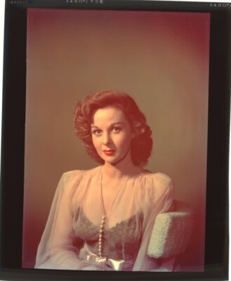 Susan Hayward 1950s Sheer Top Glamour Gown Photo Shoot Original 4x5 ...