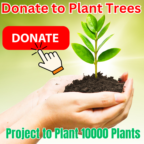 Donation to plant trees, Project to plant 10000 plants, Donate $1 to Plants | eBay UK