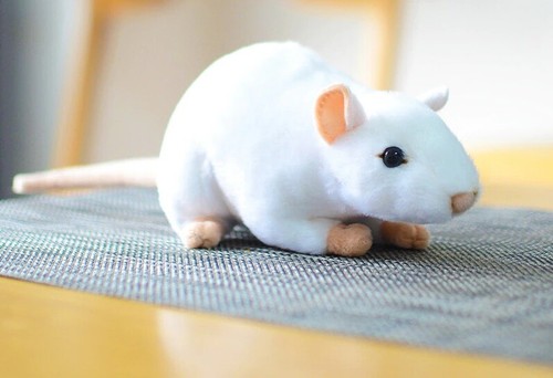 2pcs Rat Mouse 6.5 inch Stuffed Animal Plush Toys Toddler Doll Kids ...