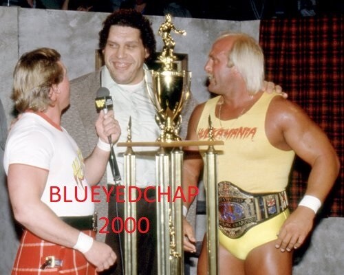 ANDRE THE GIANT-RODDY PIPER & HULK HOGAN WRESTLER 8 X 10 WRESTLING ...
