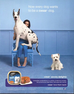 2013 Vintage ad Cesar savory delights retro canned dog food Great Dane ...