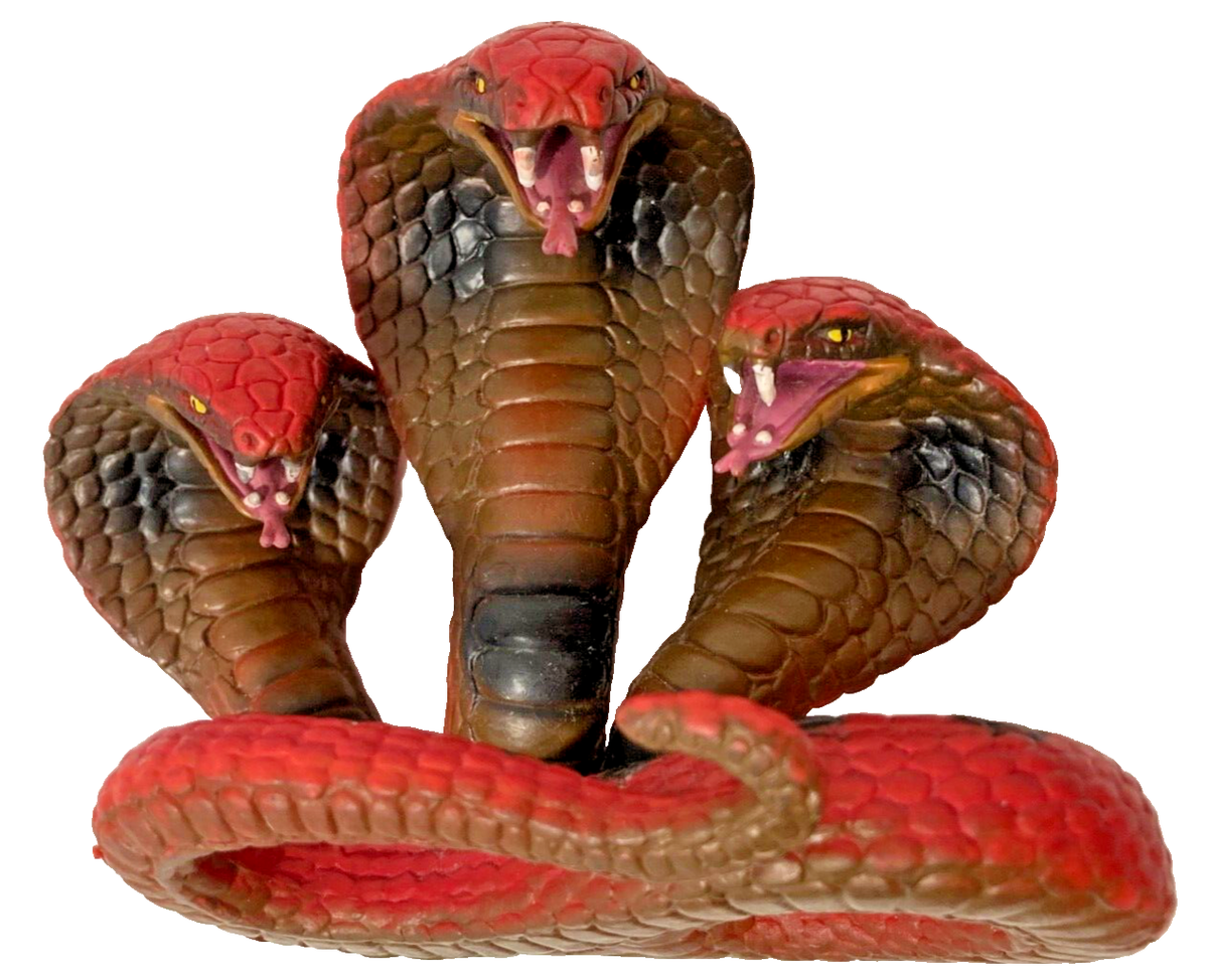 Unbelievable Things 3 Headed Snake Common Highly Dangerous Snakes Of