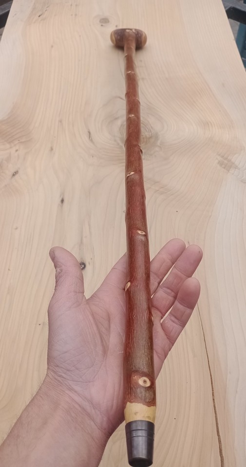 Hawthorn Walking Stick | eBay UK