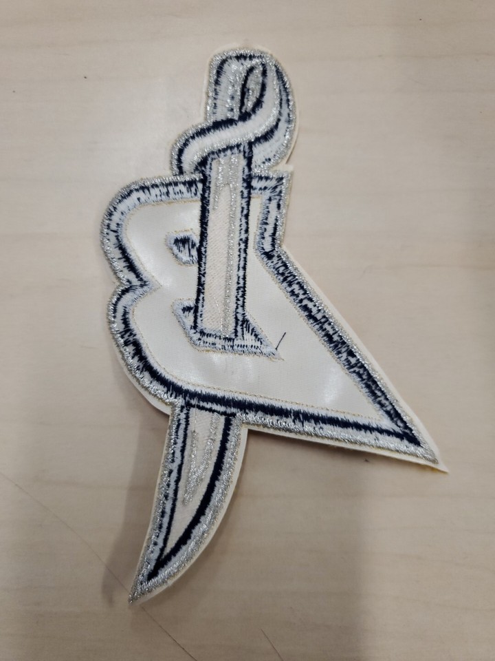 Buffalo Sabres NHL Hockey New Iron-On Patch 6" x 4" | eBay