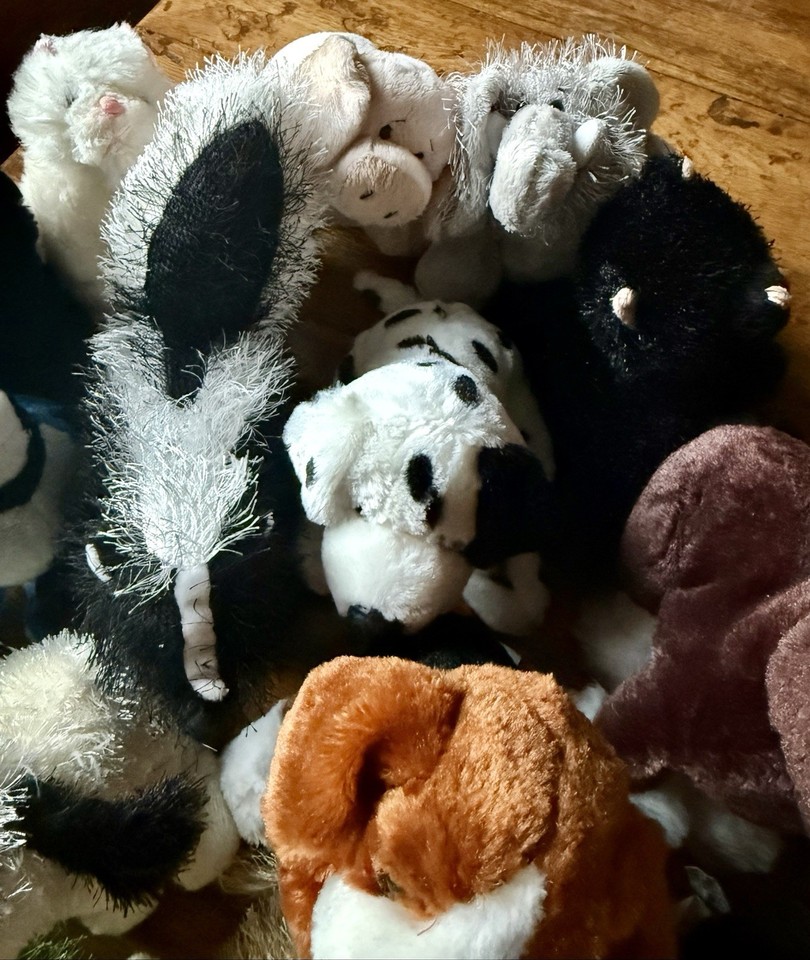 Webkinz Plush LOT 19 Stuffed Animals NO CODES Mixed Sizes Ganz | eBay