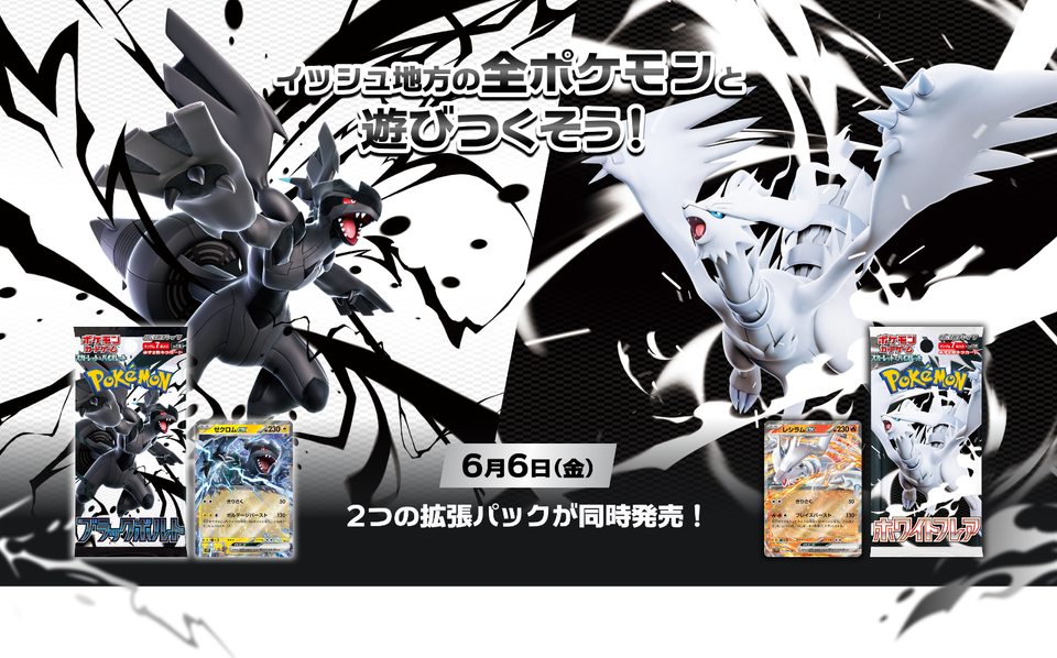 Pokemon Card Promo & Black Bolt White Flare 6 Packs & Card File Set ...