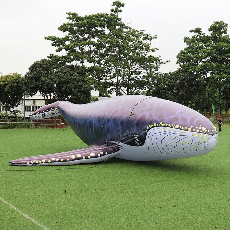 Giant Inflatable Whale Inflatable Orca Sale Humpback Whale Toys for ...