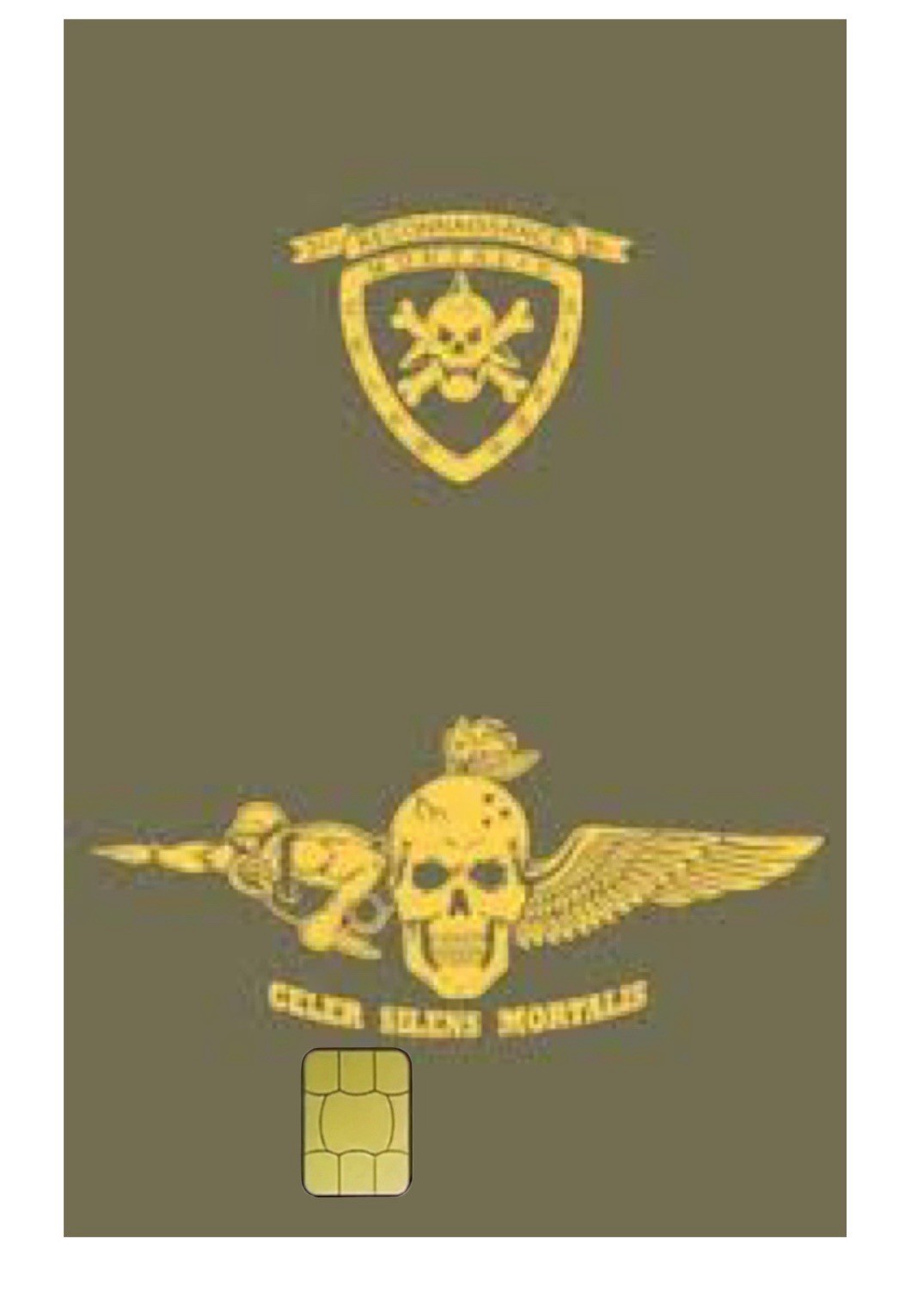USMC 3RD RECON JACK CELER SILENS MORTALIS MARINE CORP CREDIT DEBIT CARD ...