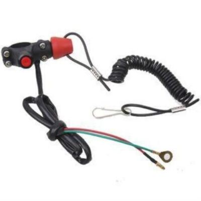 Double Kill Switch for 50cc-250cc ATV, Dirt Bike & Go Kart | eBay