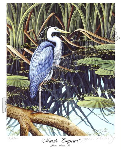 GREAT BLUE HERON "MARSH EMPEROR" 8x10 L/E S/N LITHOGRAPH by James ...