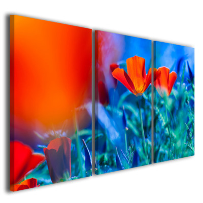 Quadri moderni Poppis fiori colorati papaveri stampa su tela canvas | eBay