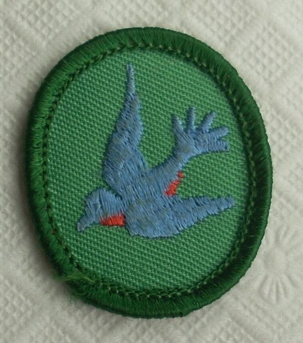 Retired Oval Girl Scout BLUE BIRD TROOP CREST bird patch badge 1979 ...