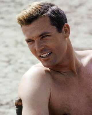 Ty Hardin 8x10 Real Photo beefcake pin-up bare chest | eBay