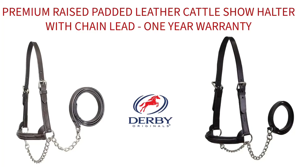 Derby Originals Padded Fancy Stitch Leather Cattle Show Halter with ...