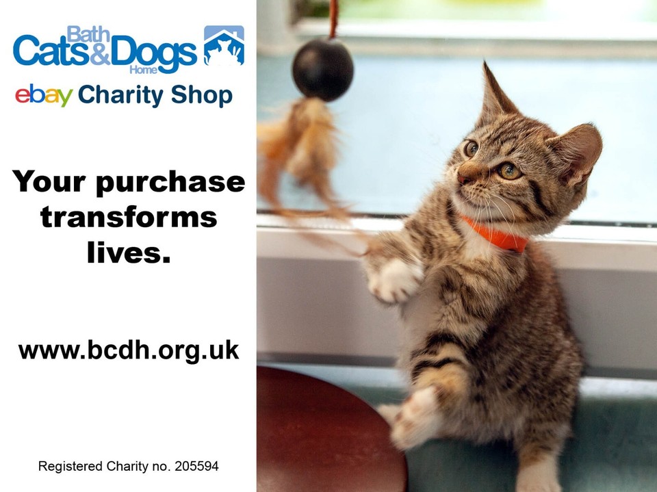 Carol Symon Painting Print | eBay UK