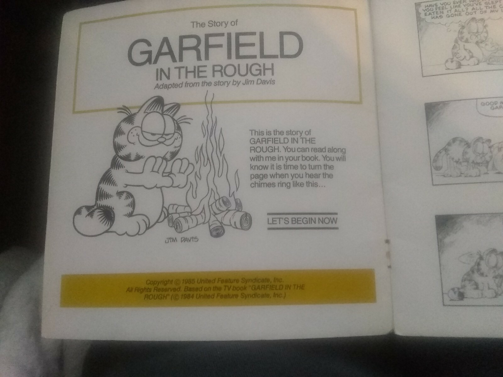 The Story of Garfield In The Rough Book. Adapted from the story by Jim ...