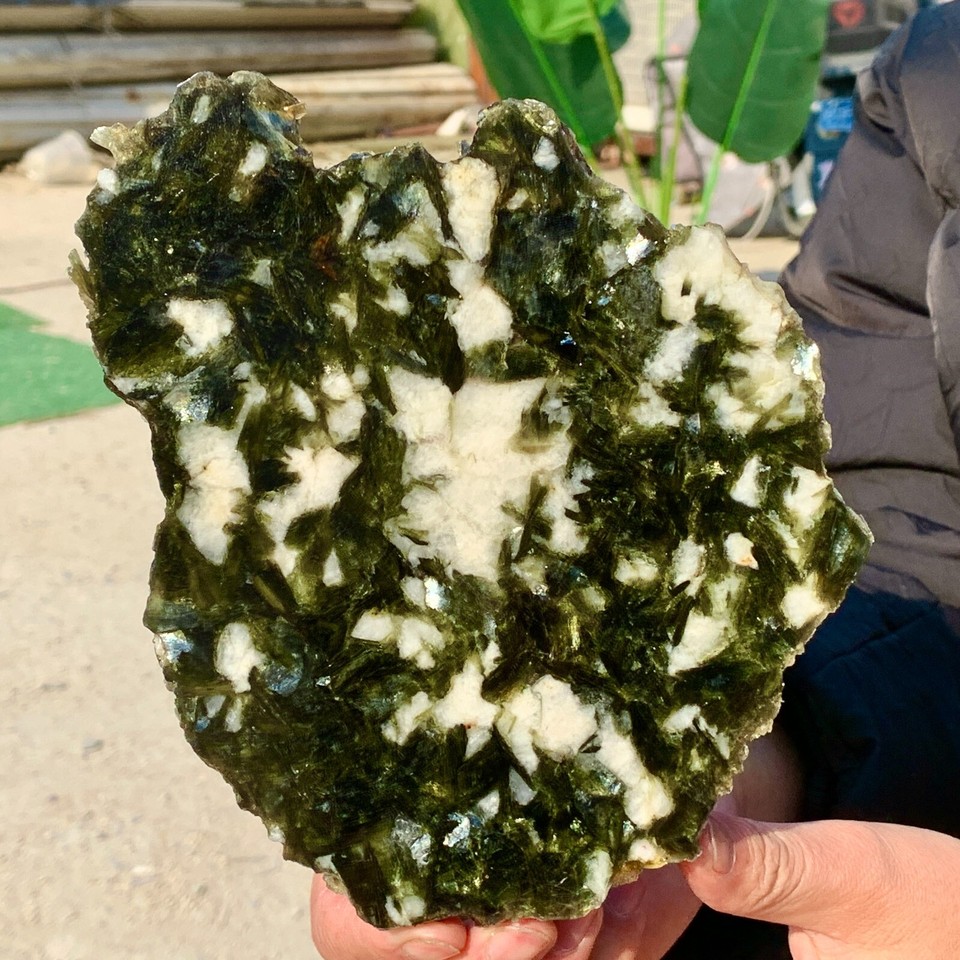 1.1LB Natural green lepidolite Flaky Crystal Specimen Healing- Museum ...