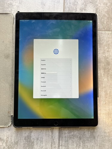 Apple iPad Pro 1st Gen. 128GB, Wi-Fi, 12.9 in - Space Gray Silver WORKS ...