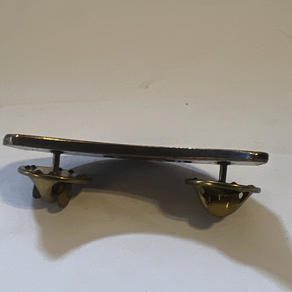 ⭐️ H-D Harley Davidson Harley Owner’s Group (“HOG”) Pin - 2014 | eBay