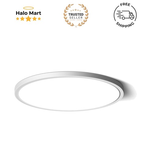 Bright 9-Inch Flush Mount Ceiling Light - 5000K Daylight White for ...