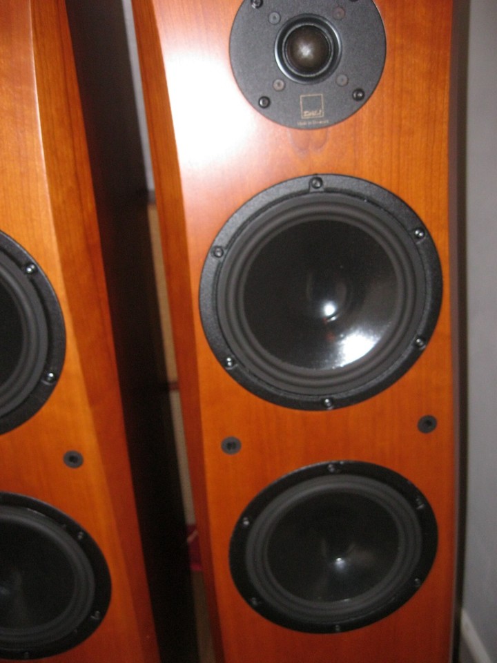 Dali Grand Diva speakers.Rare items. | eBay UK