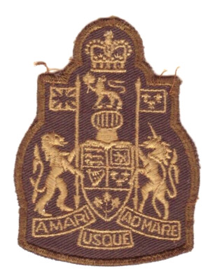 Obsolete CANADA Canadian Armed Forces OD combat Chief Warrant Officer ...