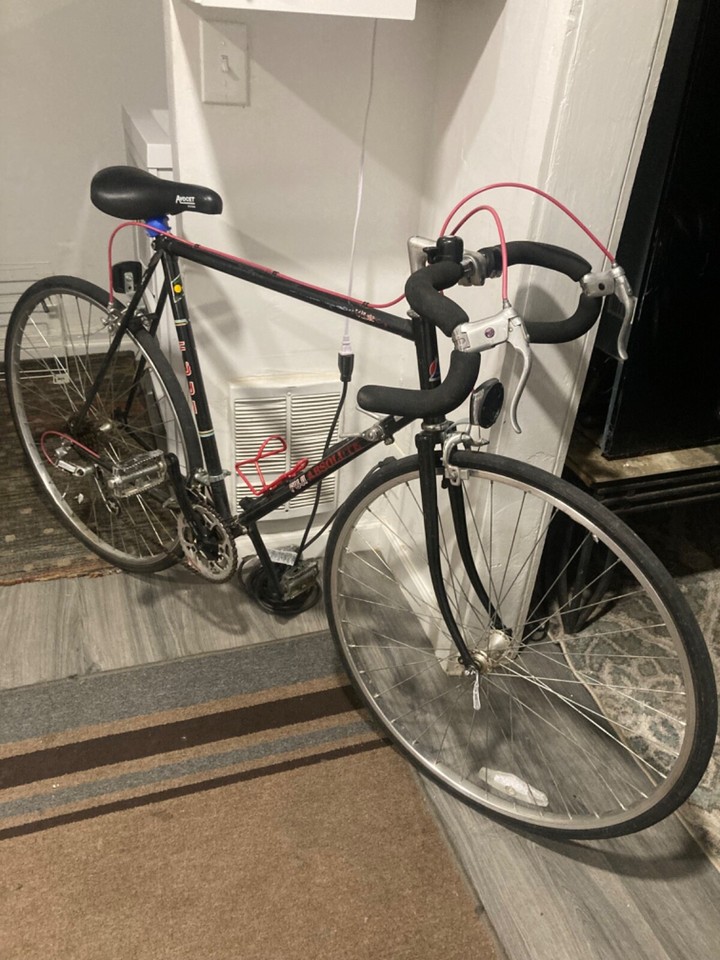 Fuji Team Racing Road Bike (New Tires, New Brake Pads, Fresh Tune Up ...