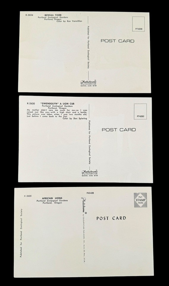 Set of 3 Vintage 1970s Portland Oregon Zoo Postcards in Bag Lion Tiger ...