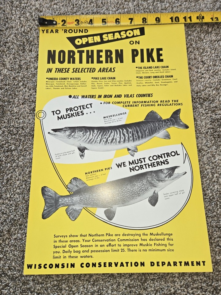 Vintage Wisconsin Consevation Commission 1950 Musky Sign | eBay